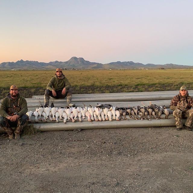 Wild West Outfitters California Speck and Snow Goose Hunts in ...