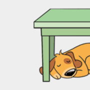 Тренировочка — Шаг 7 — Stepik