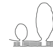 Detour: Split Genes — Шаг 1 — Stepik
