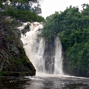 Guest Hub - Safari Days Africa