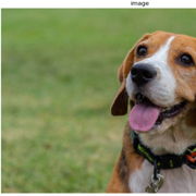 Блюрринг — Шаг 1 — Stepik