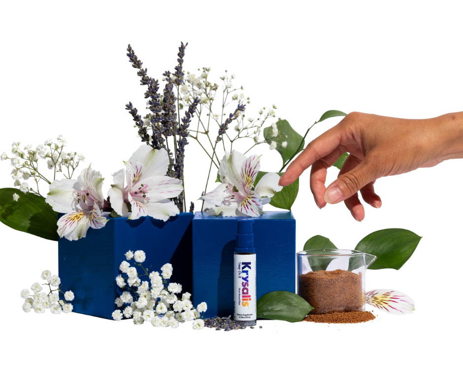 Plant-Based Kanna Elixirs To Aid Stress, Focus And Sleep Troubles ...