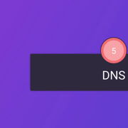 DNS — Stepik