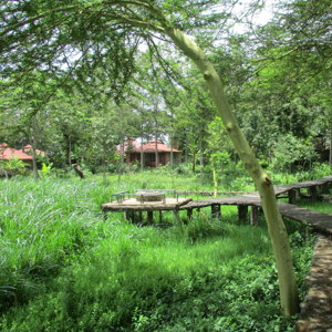 Kiboko Lodge
