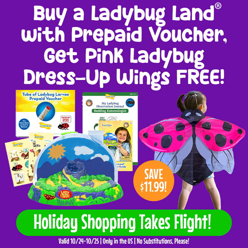 Insect Lore | The World's First Butterfly-By-Mail Company