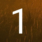 Легкие задачи, уровень 1 🌞 — Шаг 1 — Stepik