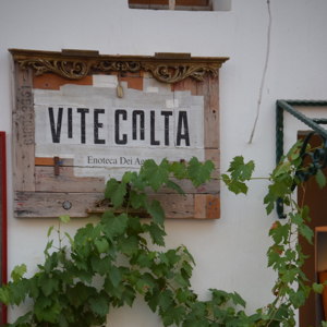 Vite Colta