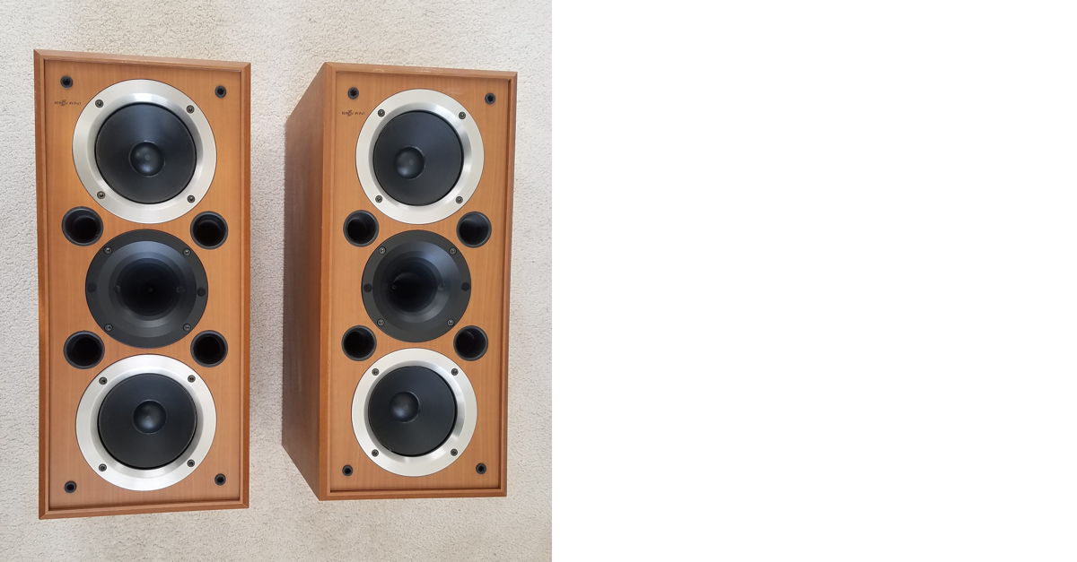 TAD TSM-300 Speaker Pair For Sale | Audiogon
