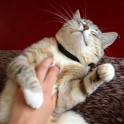 16 - 26 — Шаг 7 — Stepik