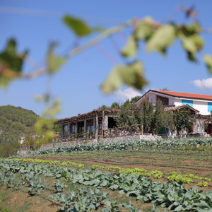 Fustanella Farm