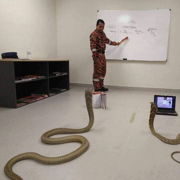 Учим компьютер выводить результат — Шаг 1 — Stepik