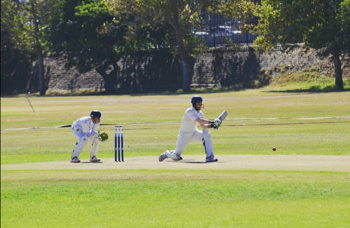 All Rounder | Cricketer Exchange