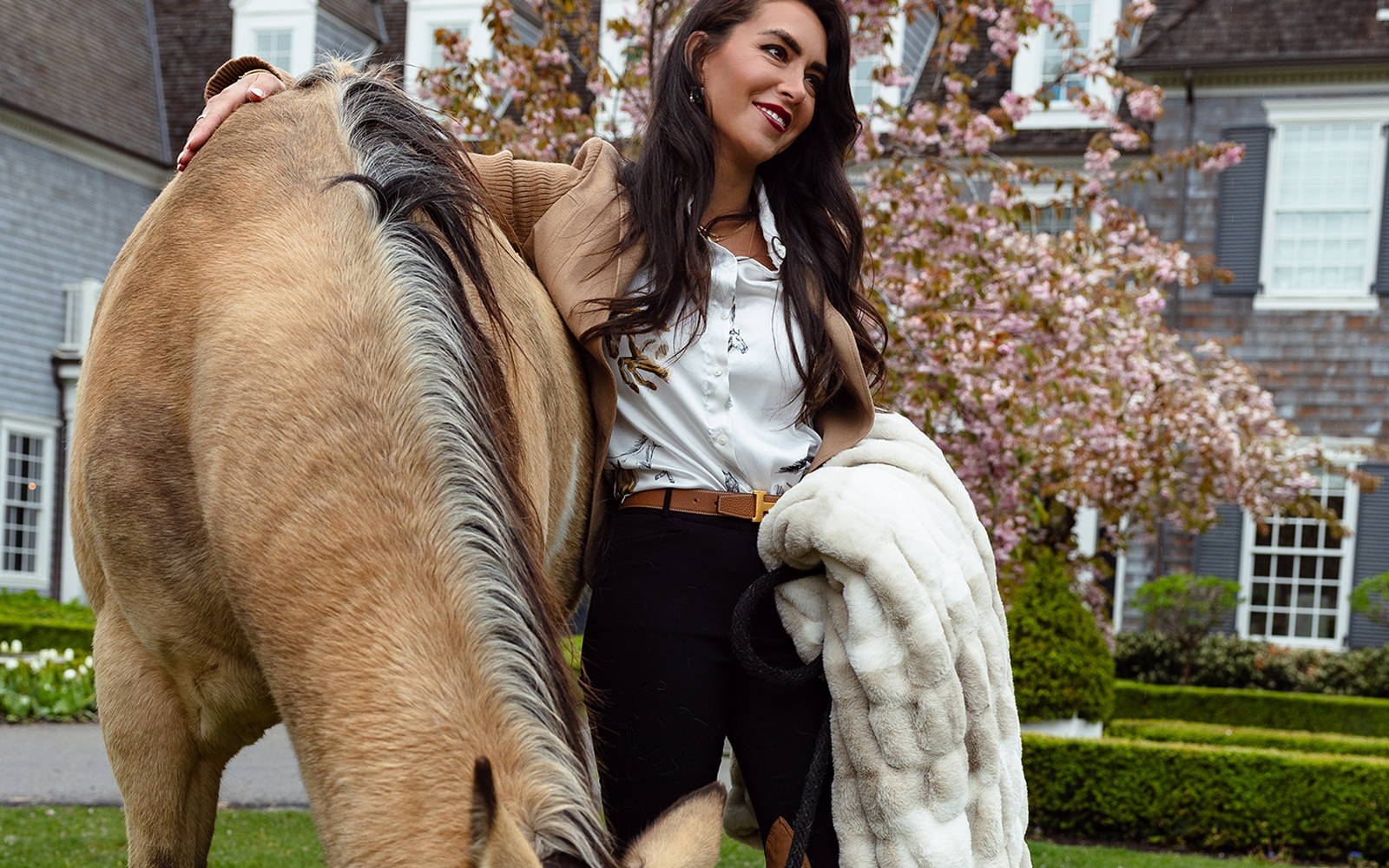 The Fox Market and Shop by The Fox Group