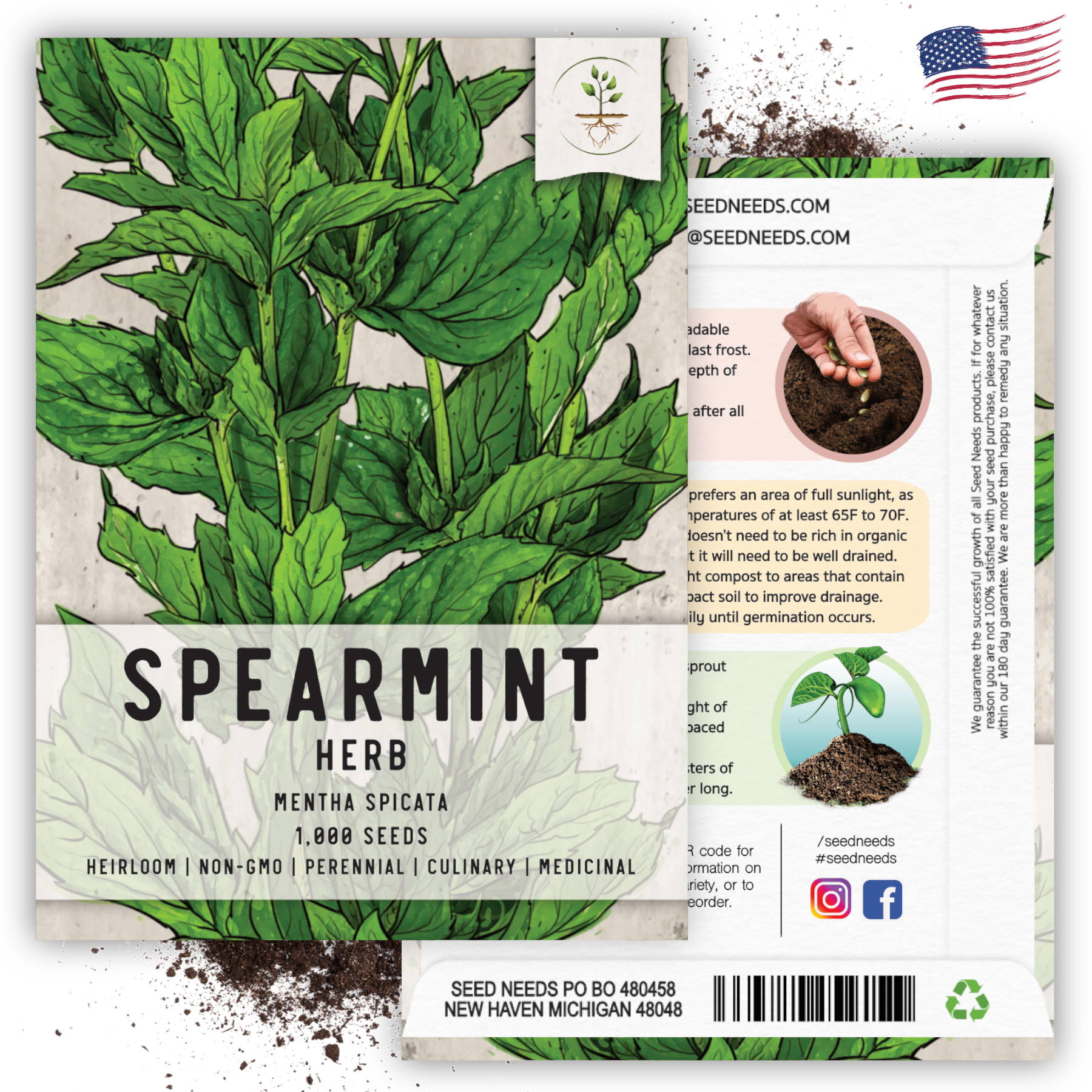 Spearmint Herb Seeds For Planting (Mentha spicata) – Seed Needs LLC
