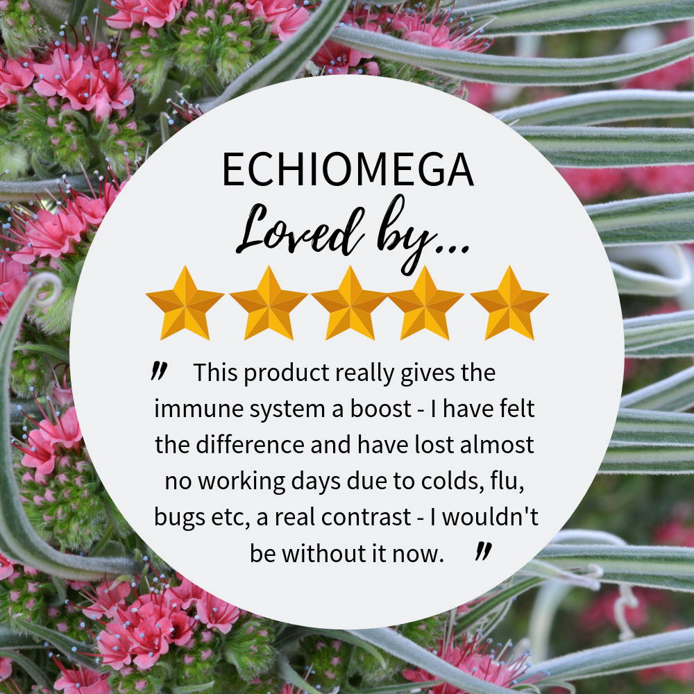 Echiomega Echium Seed Oil 1000 mg | Vegan omega-3 – Igennus Healthcare ...