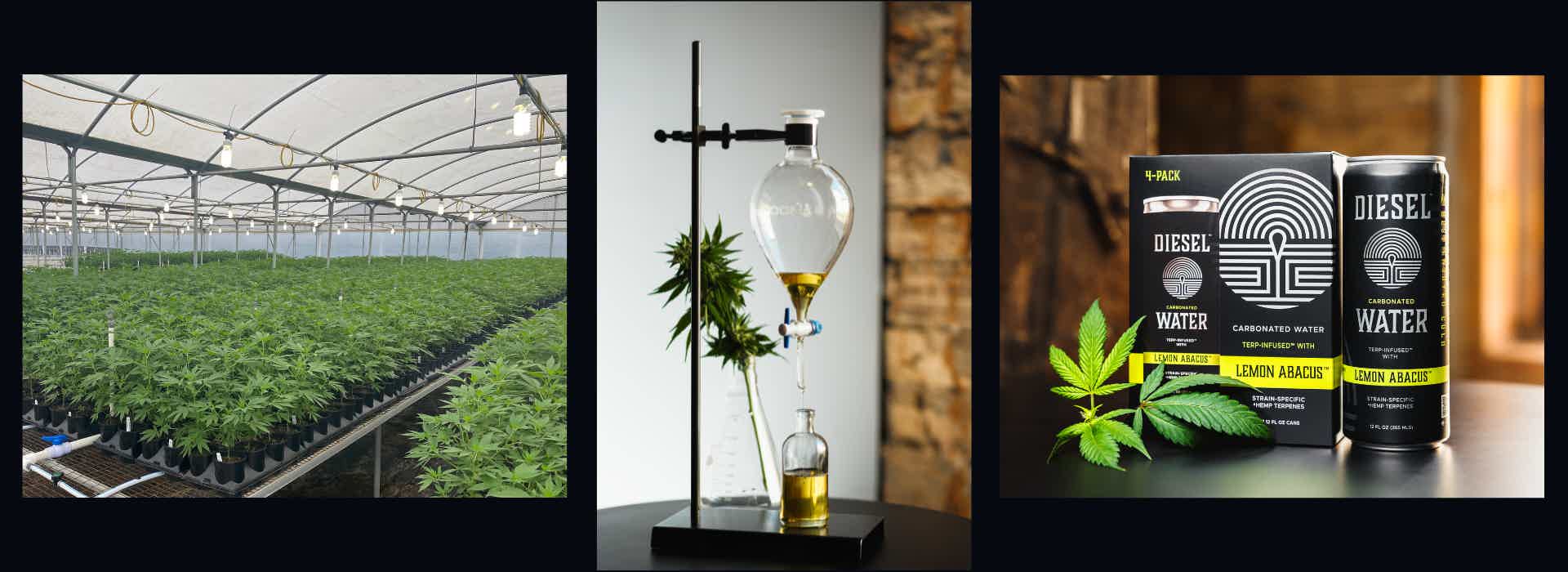 Diesel Beverages LLC: The first and only strain-specific cannabis ...