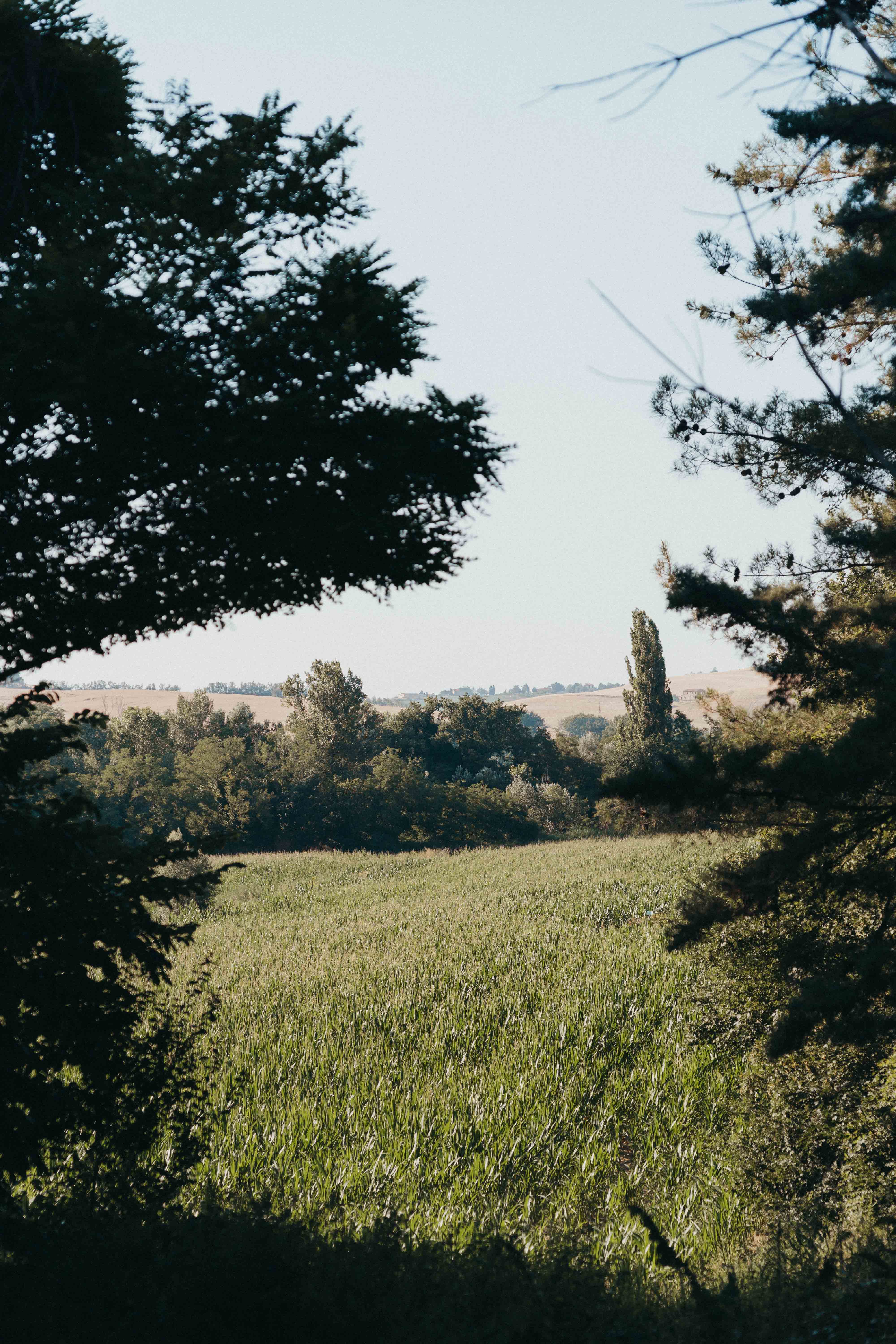 Casolare Albani: History & Orchard Tasting 2026 - Vallefoglia Food ...