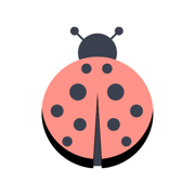 Установка и настройка git и github — Шаг 1 — Stepik