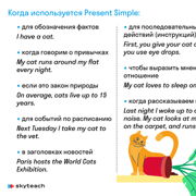 Present Simple — Шаг 3 — Stepik