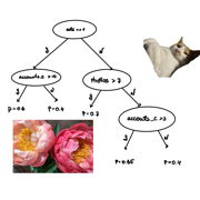 SHAP — Шаг 1 — Stepik