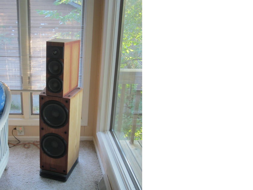 Epicure Model 1 Speakers For Sale | Audiogon