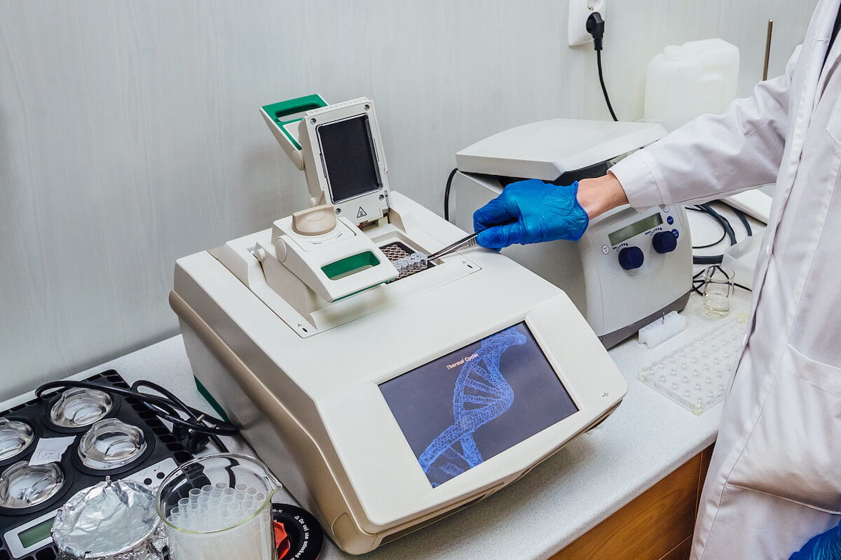 Should You Use a Stool Test to Check Your Gut Health?
