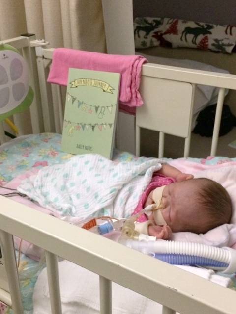 How Our NICU Journey Journal Helped One Strong Preemie and her Parents ...
