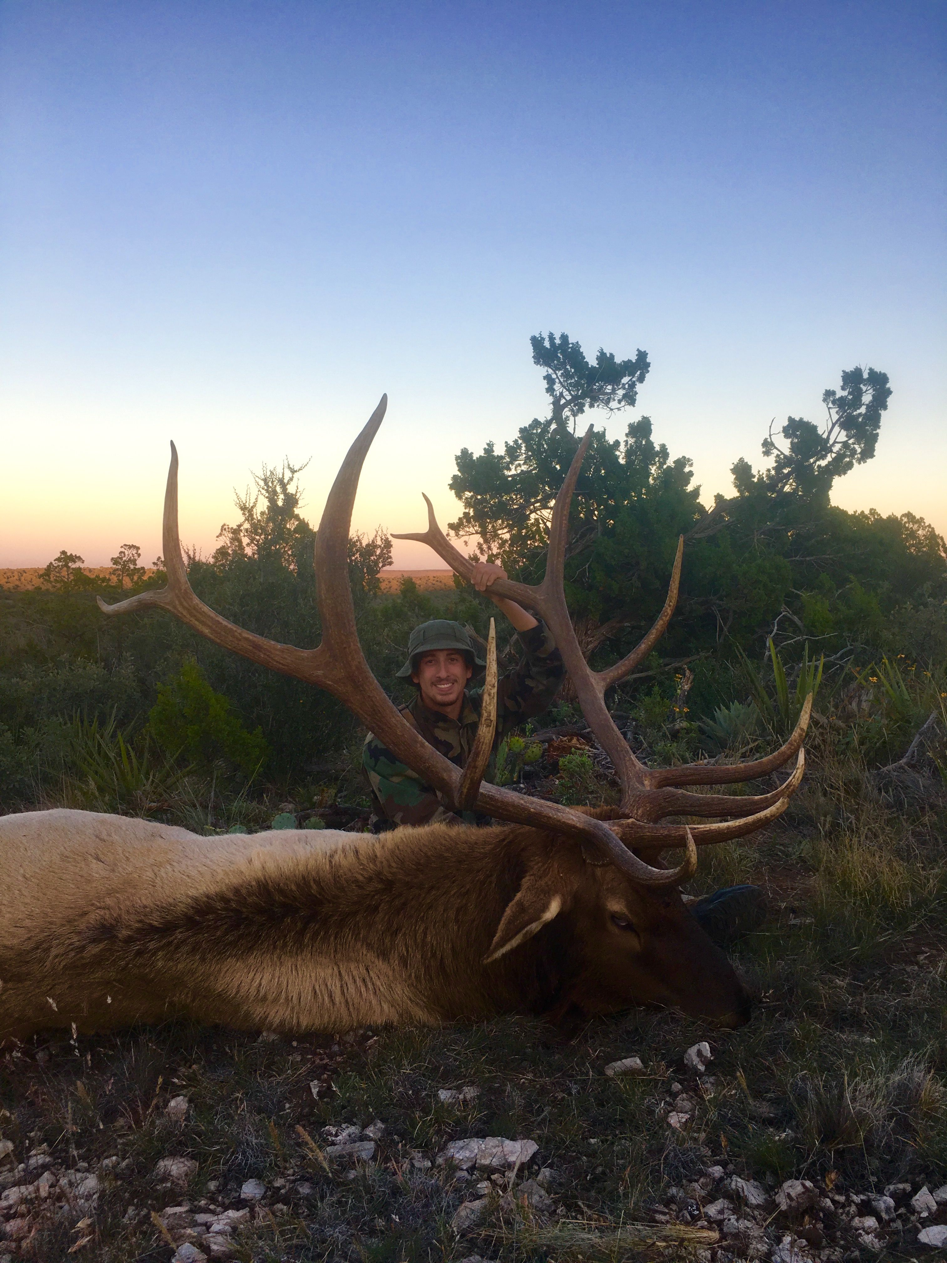 New Mexico Elk Hunts in New Mexico, United States - Mallard Bay